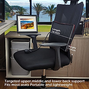 POPIPEN Inflatable Lumbar Support Pillow for Office Chair and Car Seat, Back Support Cushion with Air Pump for Reducing Lower Back Pain