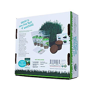 Organic Wheatgrass Growing Starter Kit - Grow & Juice Wheat Grass - Includes Non-GMO, Organic Wheatgrass Seeds - for Healthy Wheatgrass Shots, Home, Garden, and Cat Grass