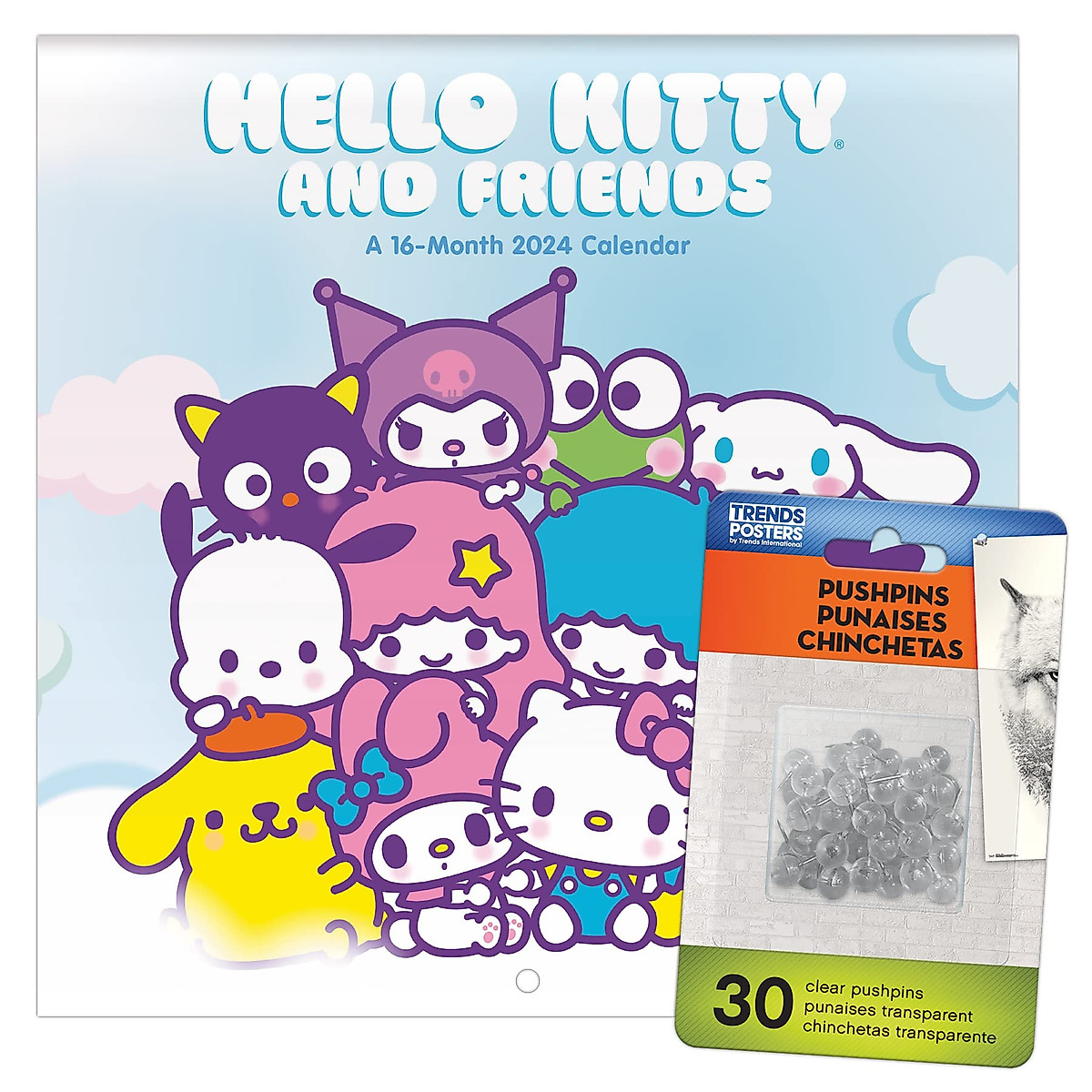 2024 Hello Kitty Mini Wall Calendar & Push Pins