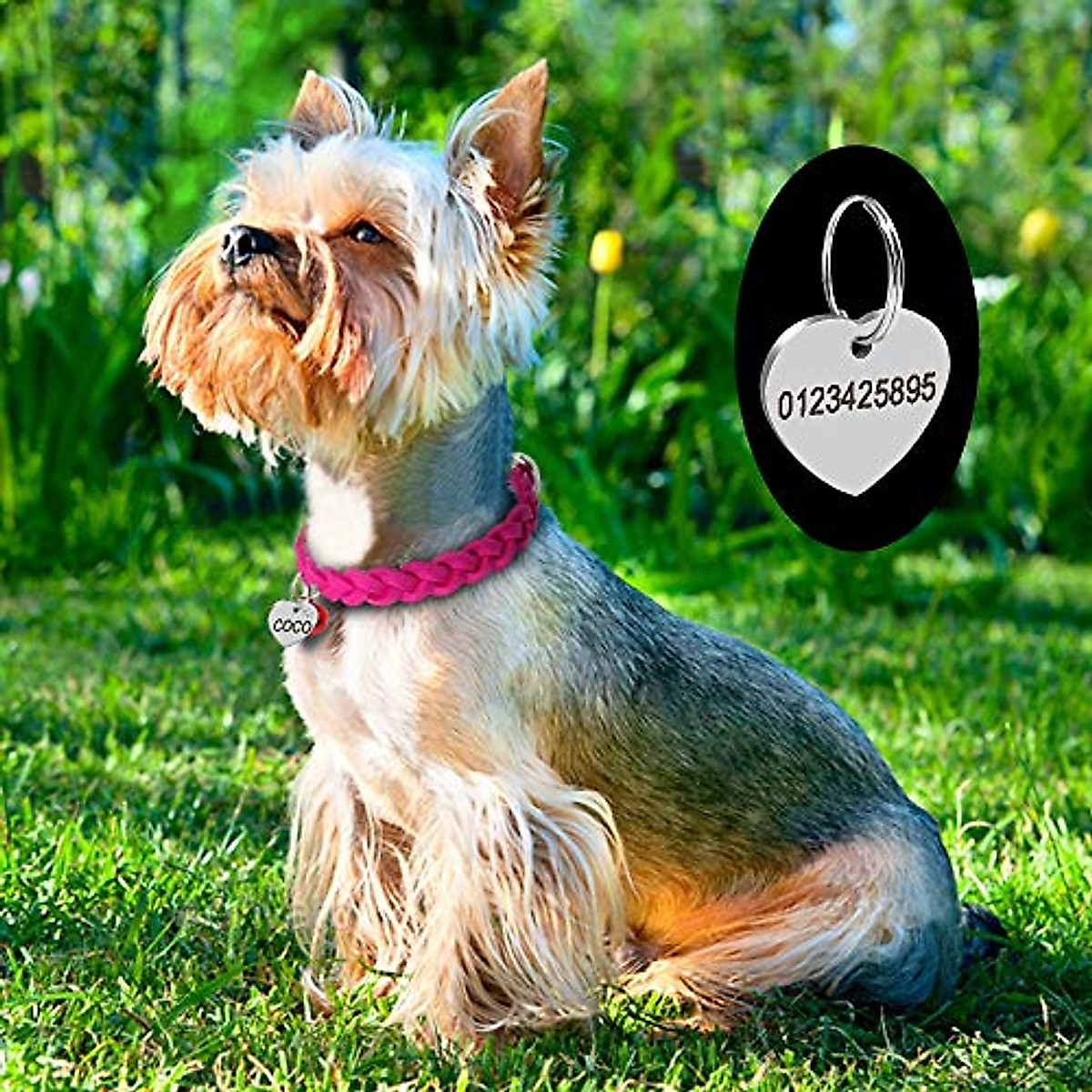 Leather Dog Collar Braided Dog Puppy Cats ID Collar with Name Personalized Engraved for Small Medium Dogs Free Bell (Color : Blue Size : XS Code)