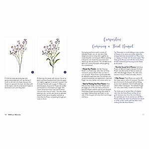 Wildflower Watercolor: The Beginner’s Guide to Painting Beautiful Florals