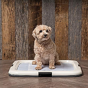 IRIS USA 23.0" x 22.75" Square Pee Pad Holder, Pet Puppy Small Medium Dog Incontinence Potty Training Pad Tray, Dark Gray