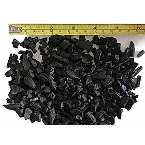 Organic Horticultural Charcoal & Terrarium Charcoal | Charcoal for Plants | Pure Hardwood Charcoal for Planting and Gardening | (1 Quart)