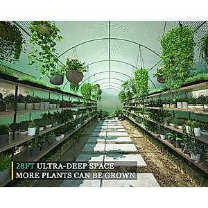 Papababe 28x10x7.5 FT Extra high Large Walk-in Greenhouse for Outdoors, Upgraded Swing Door, Heavy Duty Galvanized Steel Frame Tunnel Greenhouse kit, Reinforced PE Cover & Film Clips, Green