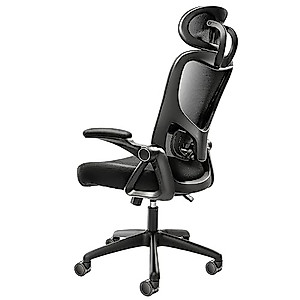 VEVOR Office Chair, High Back Ergonomic Desk Chair with Adjustable Lumbar Support & Headrest, 2D Armrest, Polypropylene Chair for Home Office, Black, 286 lbs Capacity
