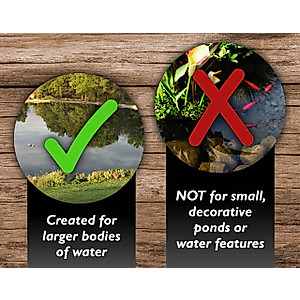 Sanco Industries Black Out Lake and Pond Dye - One Gallon of Professional Lake & Pond Dye – Treats Up to 1 Acre – Deep Black Color - Safe for Fish, Wildlife, Pets & Children