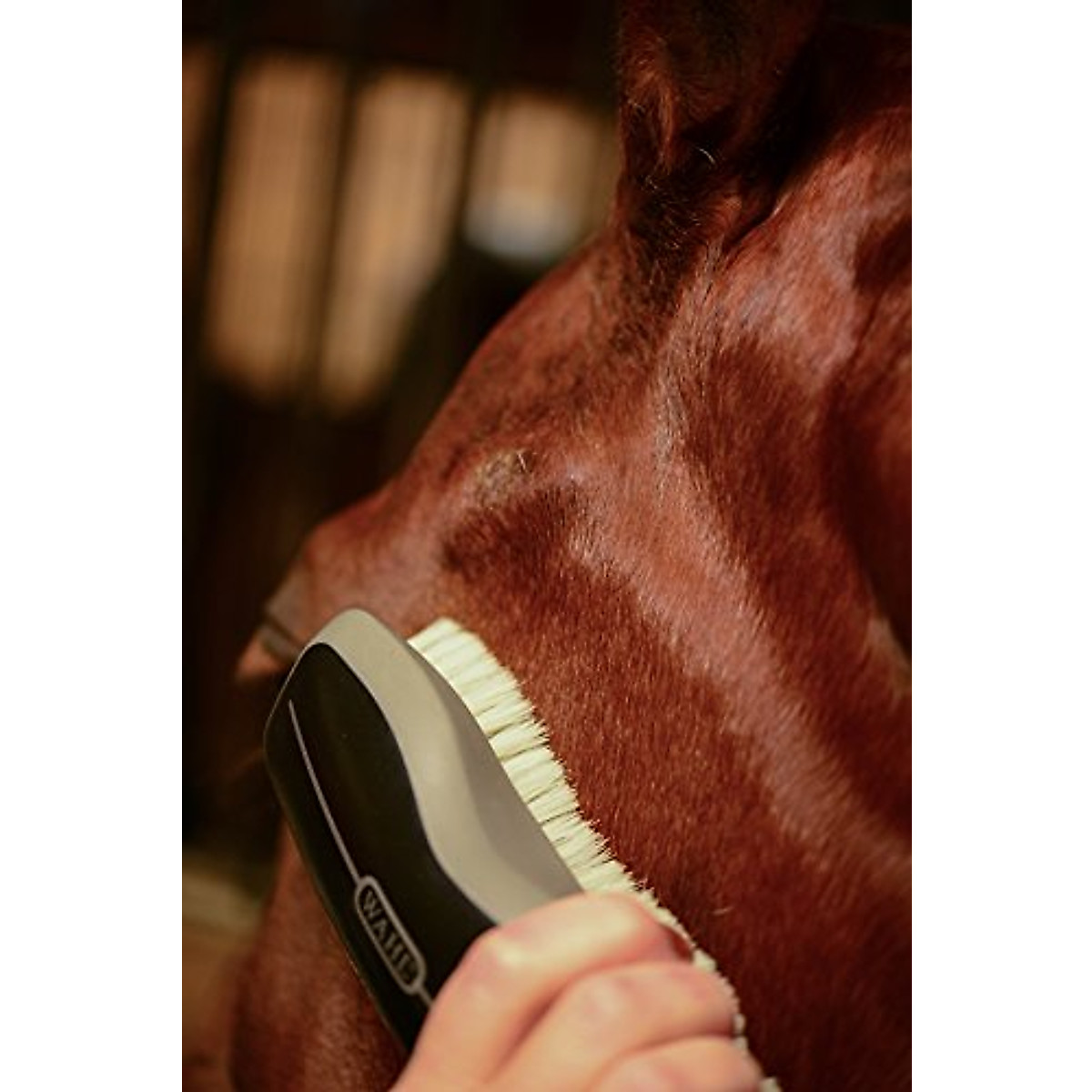 WAHL Professional Animal Show Pro Plus Equine Horse Clipper and Grooming Kit (9482-700)