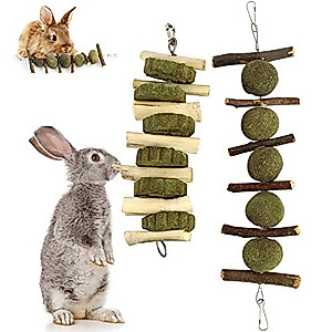 2Pcs/Set Bunny Chew Balls Toys,Rabbits Teeth Care Chewing Playing Toys,Molar Natural Apple Sticks for Rabbits Chinchillas Guinea Pigs Hamsters Improve Dental Health