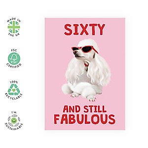 CENTRAL 23 60th Birthday Card For Women - Sixty And Still Fabulous Dog - Wife Mom - Sister - Happy Sixtieth Birthday Greeting Card Female Friends - Comes With Fun Stickers