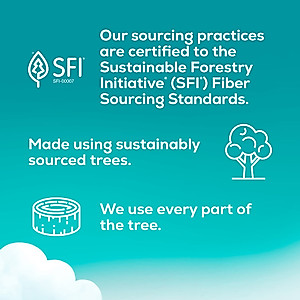 Angel Soft® Toilet Paper, 8 Mega Rolls : 32 Regular Rolls, 2-Ply Bath Tissue, 320 Sheets per Roll, 8 Count, White (Pack of 2)