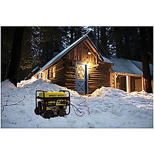Champion 3500 Watt Portable Generator Wireless Start
