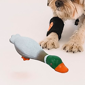 Ipetboom Dog Molar Plaything Squeaky Teething Toy Shaped Chewing Toy Funny Toy