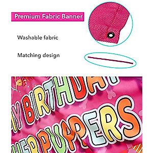 Odi Style Dog Birthday Party Supplies - Dog Birthday Girl Gift Set - Dog Birthday Bandana for Large, Medium Dogs, Puppy, Dog Party Hat and Cute Dog Birthday Banner, Pink