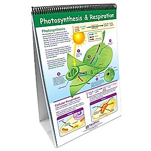 NewPath Learning 10 Piece Mastering Middle School Life Science Curriculum Mastery Flip Chart Set, Grade 5-9 Multi, 12 L X 18 W in