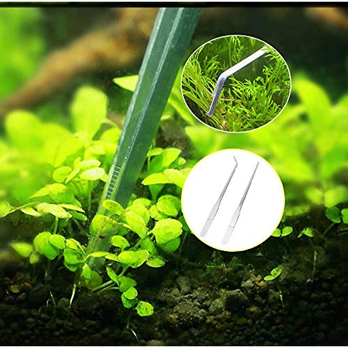 ESKONI 2-Piece Aquarium Tweezers Stainless Steel Straight and Curved Tweezers Set for Fish Tank Aquatic Plants, 27cm/10.6 inches Feeding Tongs for Hold Worms, Reptiles, Lizards, Bearded Dragon