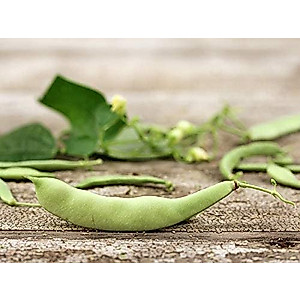 Roma II Italian Bush Bean Seeds for Planting, 30+ Heirloom Seeds Per Packet, (Isla's Garden Seeds), Non GMO Seeds, Botanical Name: Phaseolus vulgaris, Great Home Garden Gift