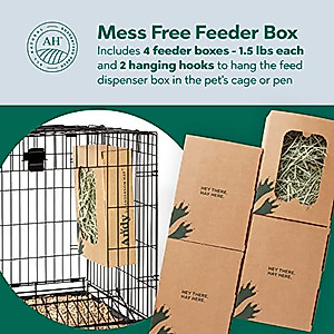 Andy Organic Timothy Hay Andy-Pak Feeder Box, 4 Pack 1.5 Lb Boxes, 1st Cutting Rabbit Food, Premium Hamster, Chinchilla, Gerbil, & Guinea Pig Food, Small Animal Treats, 6 lbs