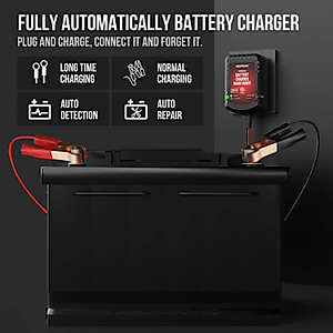 NEXPEAK NC075 12V 750mA Automatic Battery Charger, Battery Maintainer, Trickle Charger, and Battery Desulfator