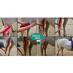 VETKIN VetkinTape® Veterinary Kinesiology Tape Black | Kinesiology Tape for Horses & Dogs | Equine & Canine Kinesiotape | Latex Free and TÜV Quality Mark Certified Ktape | 1.2 inch | Pack of 2 Rolls