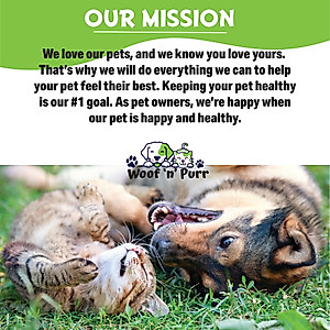 Cat Digestive Support - Digestive Enzymes for Cats - Cat Digestive Probiotic - Cat Digestion Aid - Cat Digestion - Digestive Enzyme for Cats - Cat Digestive Enzyme - Cat Digestive Supplement - 1 fl oz