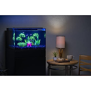 GloFish Extra Large Castle Ornament, 1 Count, Decor for Aquariums