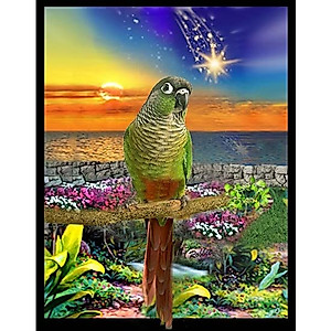 CafePress Green Cheeked Conure Star Gazer Mugs Ceramic Coffee Mug, Tea Cup 11 oz