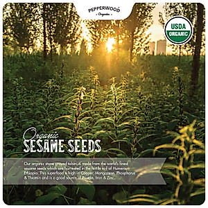 Organic Ethiopian Sesame Tahini - Squeezable Creamy & Ready Tahini Paste 12.3 Ounce (2-Pack) - Hulled, Unsalted, Non-GMO, Gluten-Free, Peanut-Free, by Pepperwood Organics