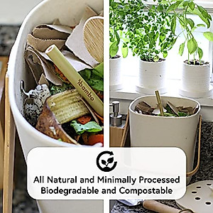 Ibambo 10 Pack Natural Bamboo Straws - Ecofriendly Reusable Straws, 8 inch Biodegradable Straws, Compostable Straws with Straw Cleaner, Bamboo Reusable Straws Alternative to Plastic Disposable Straws