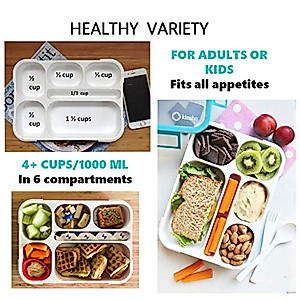 Bento-Box Lunch Boxes for Kids, Boys, Adults. Leakproof Lunch Set, Bentoboxes for School or Work. Portion Containers. BPA Free. 6 Compartments. Fork & Spoon. Blue & Navy Blue Large