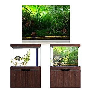 PVC Aquarium Background Poster,Water Grass Style PVC Adhesive Static Aquarium Wallpaper Background(61 * 41cm)