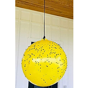 Gnat Ball Deluxe kit - Gnats, House Fly, No-See-Um, Aphids whiteflies,and Love Bug Trap