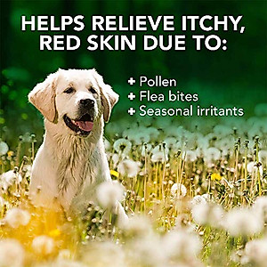 Vet's Best Allergy Itch Relief Spray for Dogs | Soothes Dog Dry Skin | Relieves The Urge to Itch, Lick, and Scratch | 8 Ounces