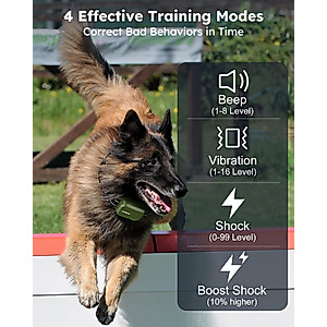 Jugbow Dog Shock Collar 2 Dogs (10-120Lbs) - 3300FT Dog Training Collar with Remote IPX7 Waterproof Electric Collar with 4 Training Modes, Security Lock, Rechargeable e-Collar for All Breeds, Sizes