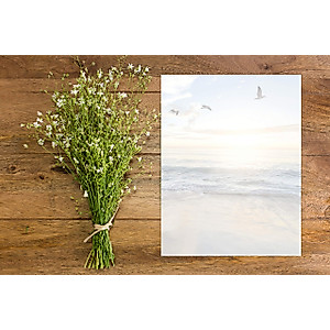 Scenic Nature Stationery - Pack of 48