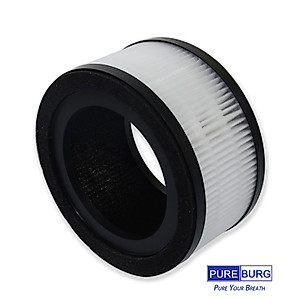 PUREBURG True HEPA Filter Compatible with InvisiClean IC-2010 Stella Air Purifier,H13 Replacement 4-Stage Filtration High-efficiency Activated carbon 2-IN-1 Air Clean Dust VOCs,2-Pack