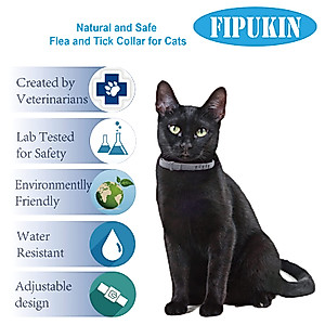 Natural Ingredients Flea Collar for Cats, Safe and Effective Flea and Tick Repellent, Waterproof, 8 Months Protection Each, Free Comb and Tick Scoop, One Size Fits All, 13.8 inch, 4-Pack