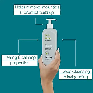 Baebody Award Winning Tea Tree Oil Shampoo - Clarifying for Build-Up, Dry Scalp and Oily Hair - Vegan Anti-Dandruff for Men/Women