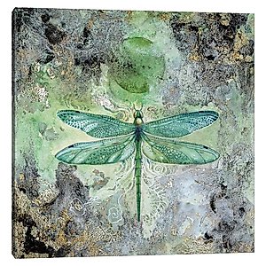 iCanvas SLW48 Dragonfly V Canvas Print by Stephanie Law, 12" x 12" x 0.75" Depth Gallery Wrapped