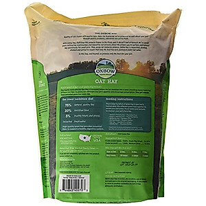 Oxbow Oat Hay 15 Ounce Bag For Small Pets
