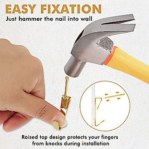 Hooks for Hanging Pictures with Nails - ROBUST 50pcs Picture Hanging Kit, Wall Hooks for Hanging Pictures for Picture Frame, Canvas, Mirror, Art (N6 Gold)