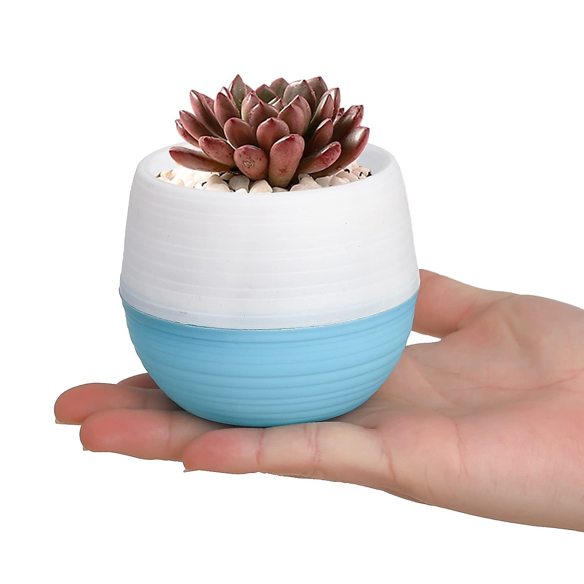 Elsjoy 30 Pack Mini Succulent Pot, 3 Inch Plastic Seed Starter Pots Small Cute Succulent Planter with Drainage for Indoor & Outdoor Plants, Home Decor, Free Assembly
