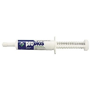 Probios Equine One Gel 30 gm syringe