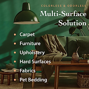 The Ecology Works - Dust Mite and Flea Control Powder (2lb) - Eliminate Dust Mites, Fleas & Reduce Allergies, Gentle Hypoallergenic Formula for Fabric, Furniture, Pet Beds & More