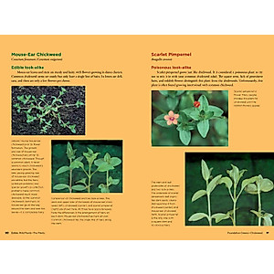 Edible Wild Plants: Wild Foods From Dirt To Plate (The Wild Food Adventure Series, Book 1)