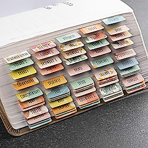 DiverseBee Spanish Bible Tabs (Large Print, Easy to Read), Bible Journaling Book Tabs, Christian Gift, 66 Bible Tabs Old and New Testament, Includes Catholic Books and 9 Blank Tabs - Alegria Theme