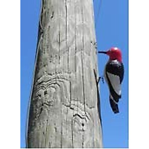 Woodpecker Tree Ornament Decoy Plastic & Metal Decorative Deterrent & Repeller- Easy to Mount-House, Tree or Gift 9" Tall