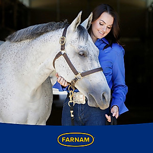 Farnam Leather New Easy-Polishing Glycerine Saddle Soap and Leather Saddle Cleaner, Protects and Preserves Leather, Cleans, Conditions and Polishes, 32 Oz.