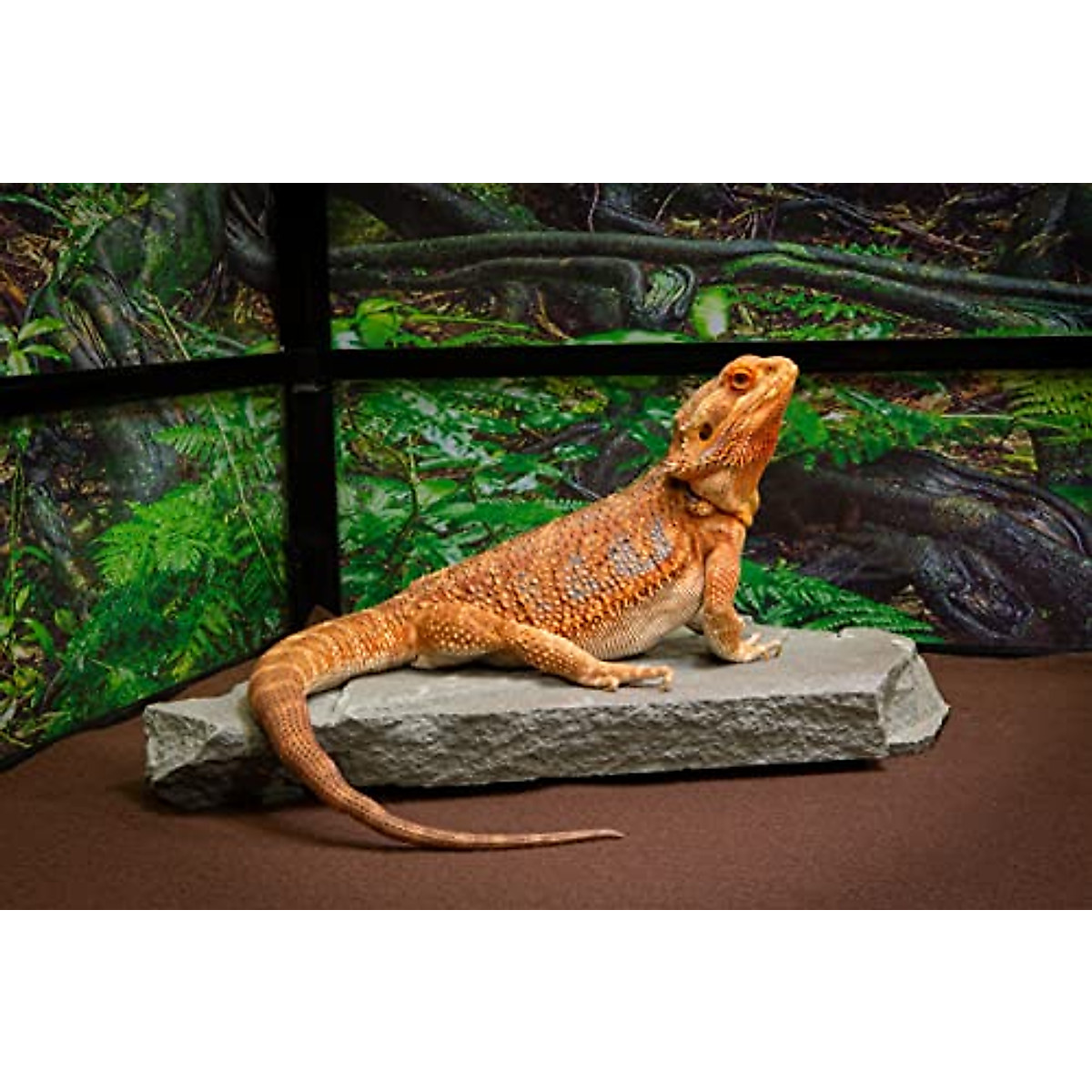 Carolina Custom Cages Natural Habitat Rocks, Blue Green (one Large Size)