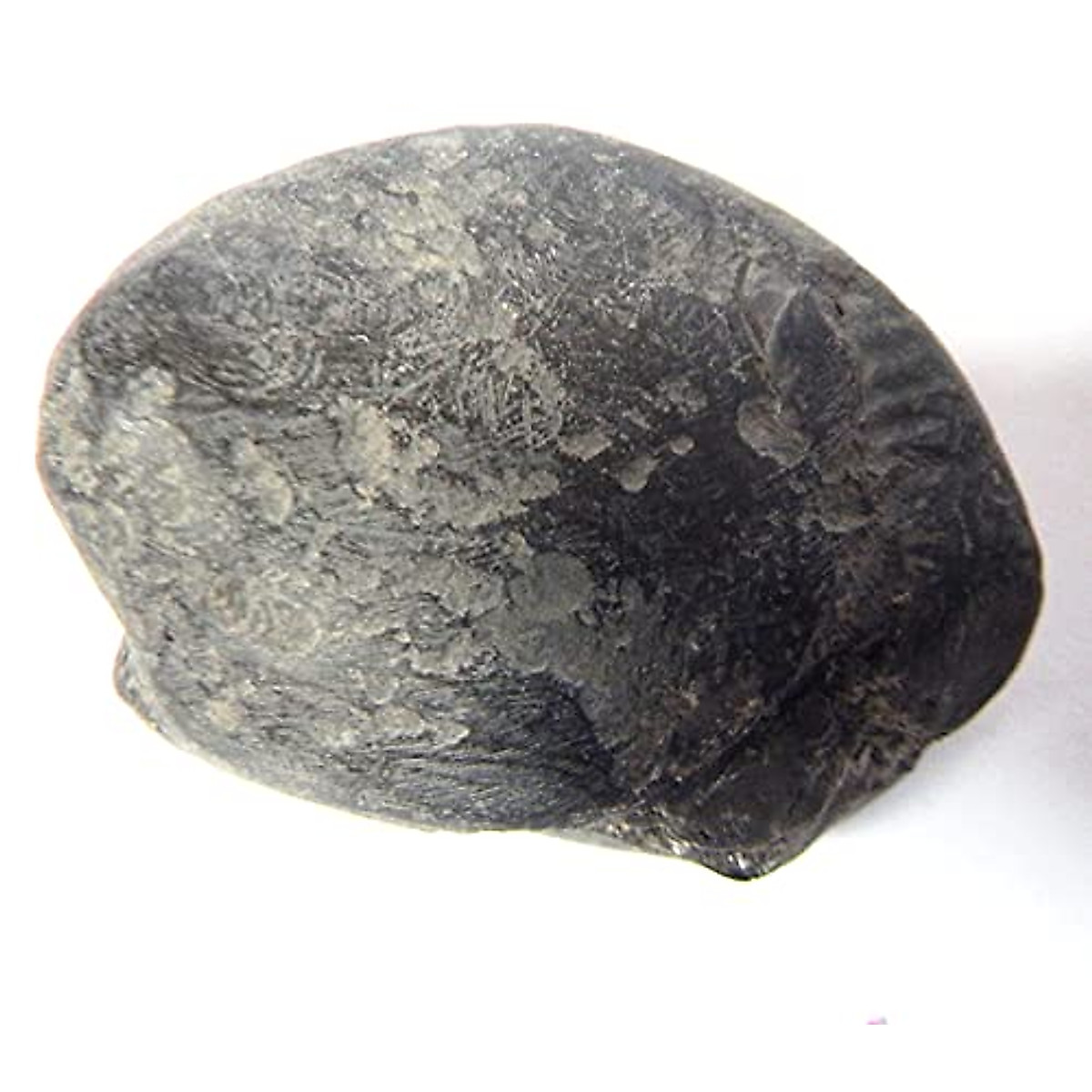 XUETZALCOATL Adwaitya Narsimha Maha Vishnu Shaligram Nepal Kali Gandaki
