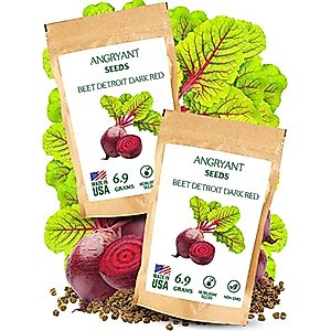 Heirloom Detroit Dark Red Beet Seeds for Planting - 1,200+ Non-GMO Seeds - 100% USA Grown - Suitable for Indoors and Outdoors Home Vegetable Garden - Easy to Grow Sweet Beets with Deep Crimson Flesh
